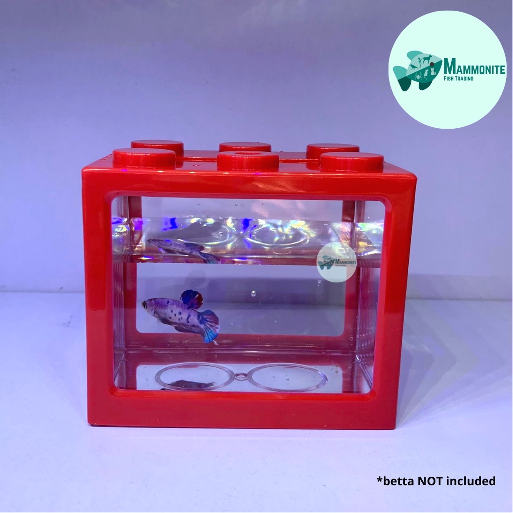 Aquarium Mini Betta Tank Stackable Colorful Clear Container | Shopee ...