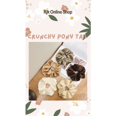 Crunchy Pony Tail (Neutral Colors) | Shopee Philippines