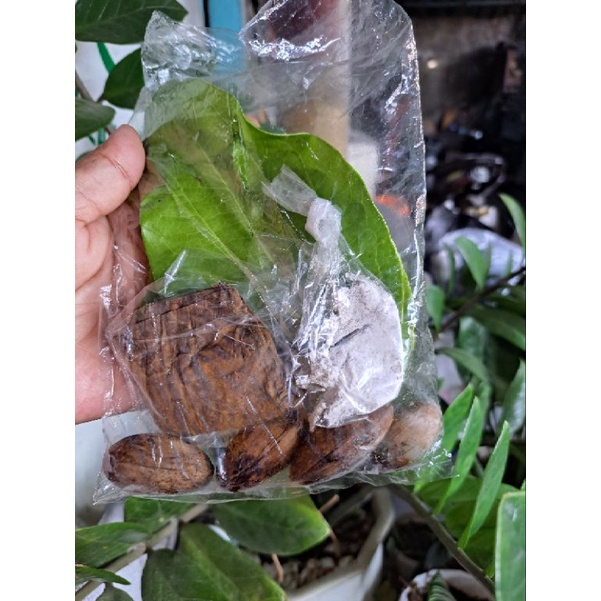 Nganga (moma) set per pack | Shopee Philippines