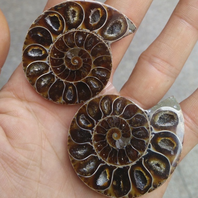 Natural crystal natural jadeited spotted stone naked Stone Ancient ...