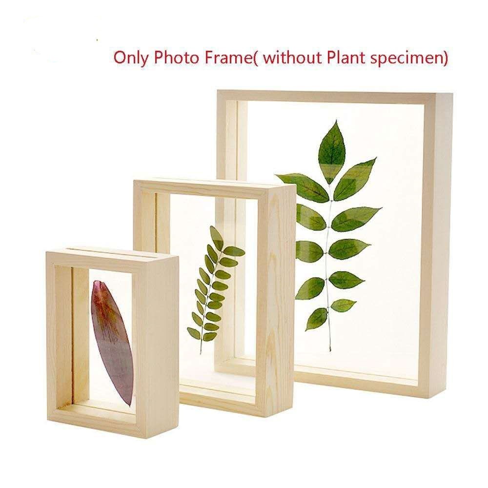 MINI Picture Frame Wooden Plant Specimen Frame Photo Frame ...