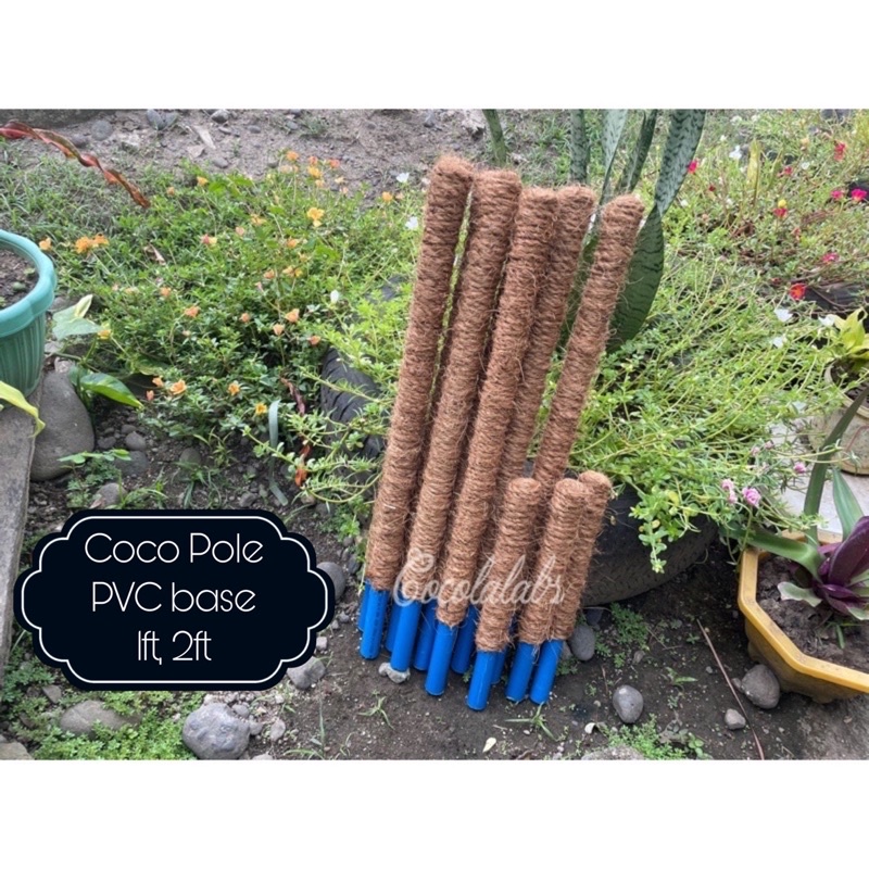 Coco pole / PVC based cocopole plant support 1ft 2ft | Shopee Philippines
