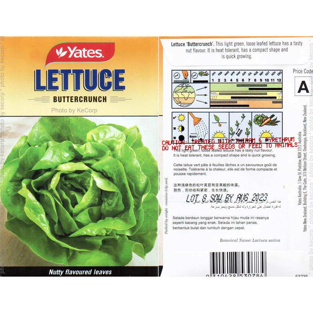 Ramgo & Yates Lettuce Seeds - Sold per Pack per Variety KECORP_S1 ...