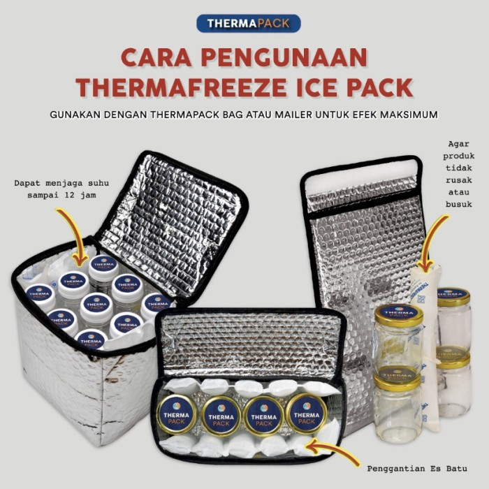 Deluxe Ice Gel Sheet | Therma Freeze Dry Ice Pack (2Pcs) | Shopee ...