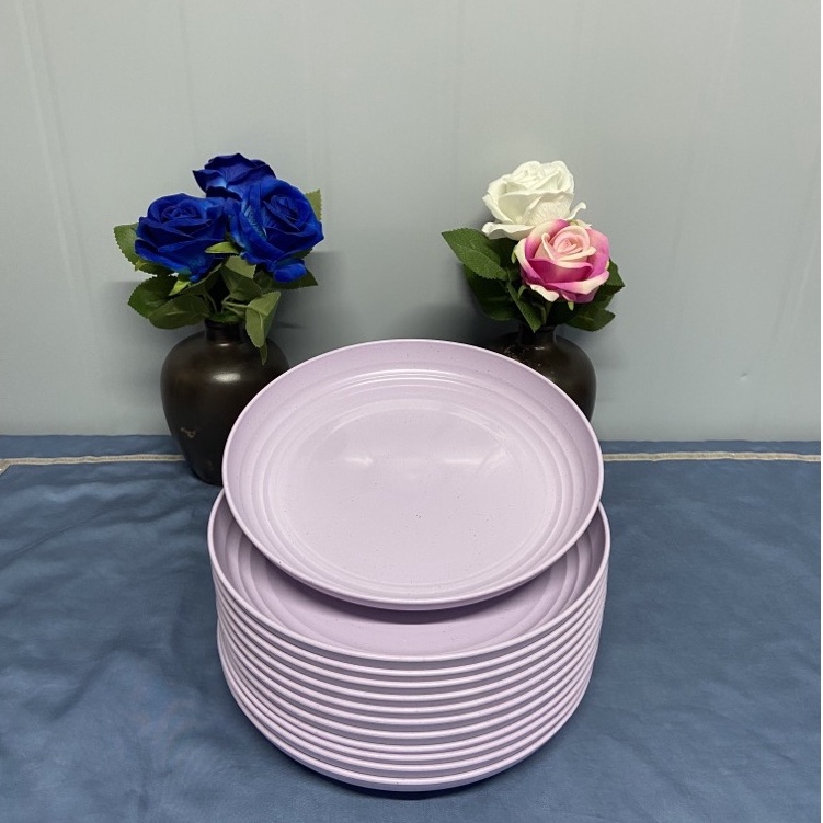 6/12pcs (23cm) Wheat Fiber Dinner Plate Round-shaped Dish Meat Steak ...