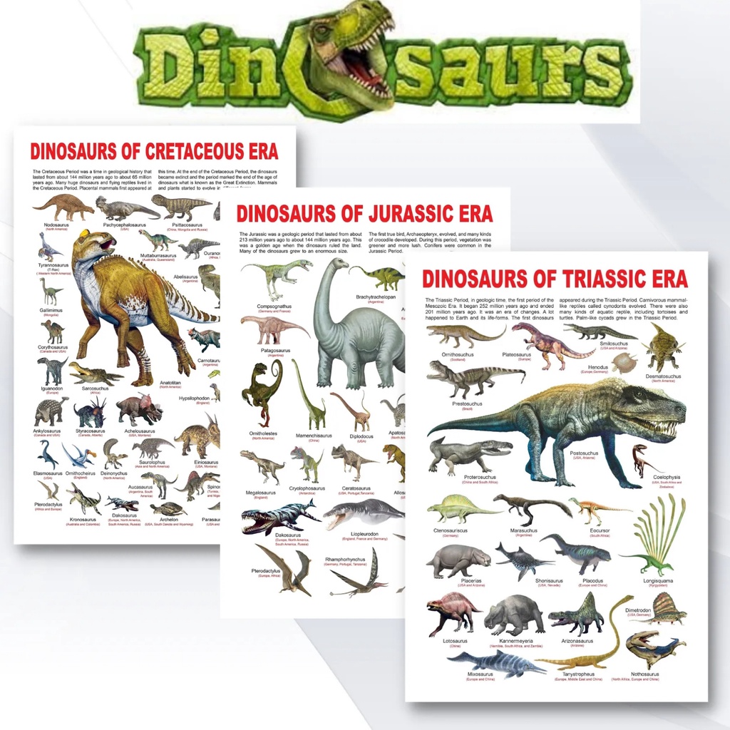 Laminated Types of Dinosaur, Dinosaur Names for Kids, Learners and ...