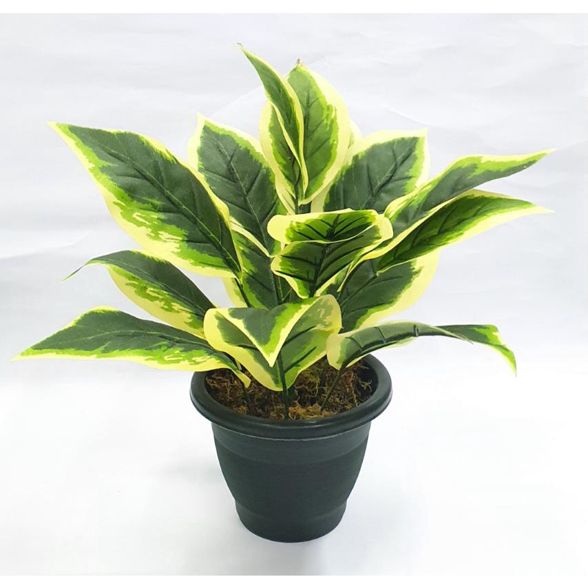 Artificial Assorted Leaves Pothos Split Philo Summer Tropical Plants ...