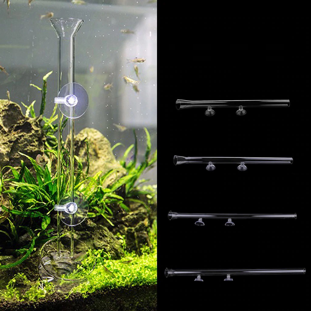 Hurl Food Pipe Glass Feeding Tube Shrimp Keeping Aquarium Aquascape ...