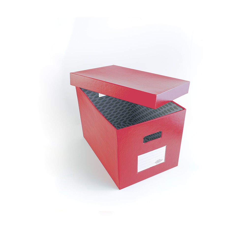 Starfile Storage Box - ( Arlin/ Buffalo Skin) | Shopee Philippines