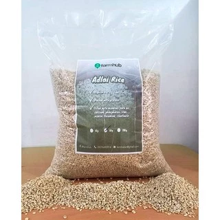 Shop adlai rice for Sale on Shopee Philippines