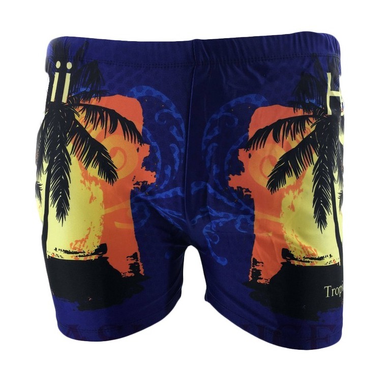 R-030 Men's Swimming Trunks Swimwear Shorts | Shopee Philippines
