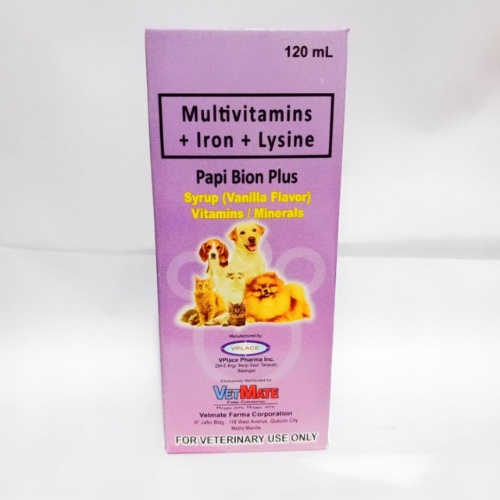 NEW PACKAGING PAPI IRON PLUS B COMPLEX Bion Plus 120ml | Shopee Philippines