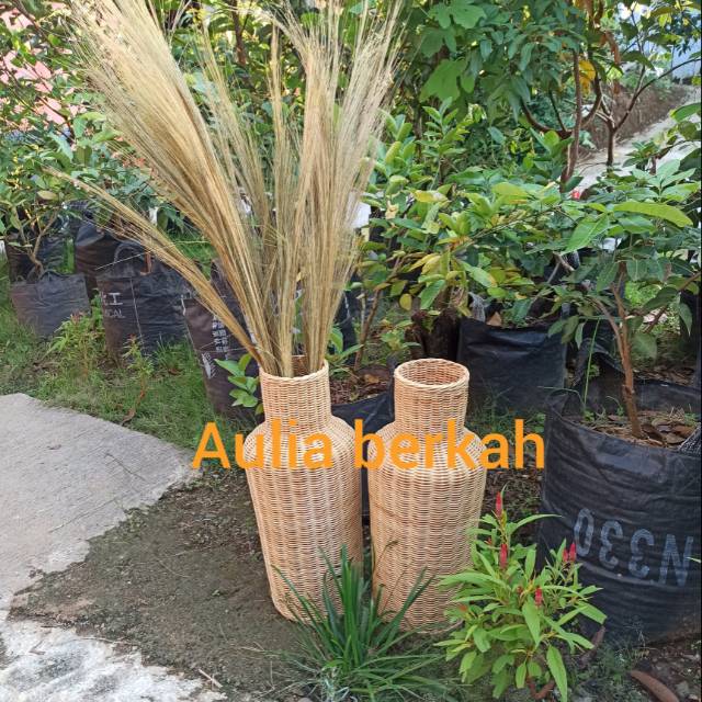 Original Woven Rattan Jars/Woven Rattan Vases | Shopee Philippines