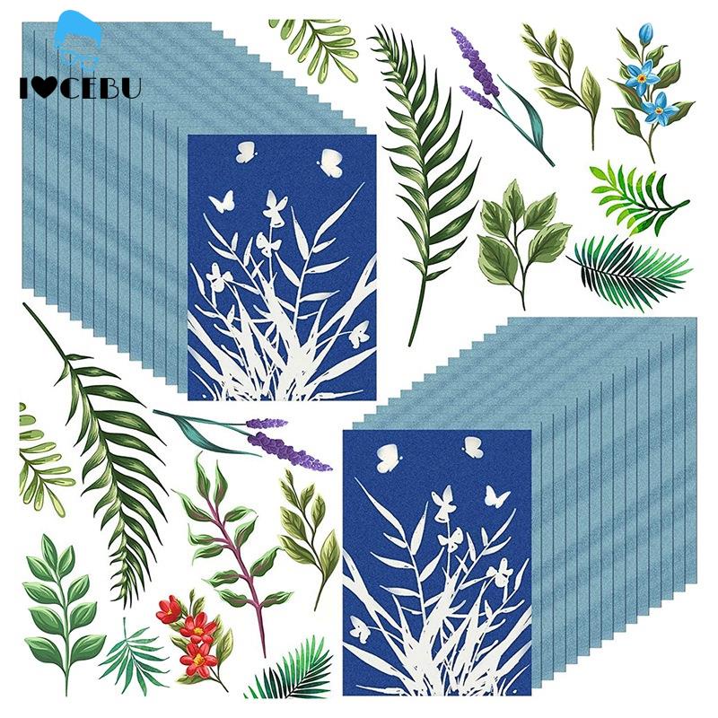 Cyanotype Paper, 30 Pcs A5 Sun Print Paper Kit, High Sensitivity Sun ...