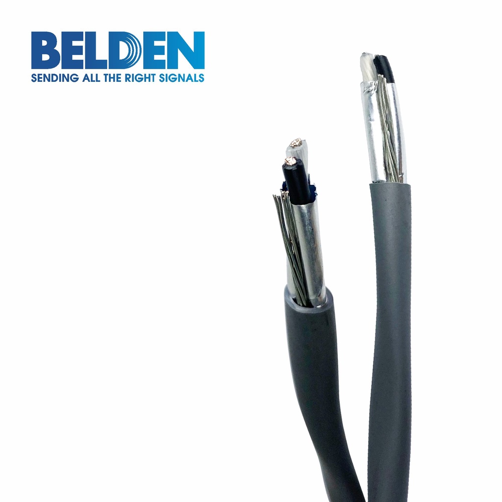 Belden Electronic Cables 18AWG (16x30) | 8760 | 2 Conductor 1 Roll (305M) | Avesco | Shopee ...