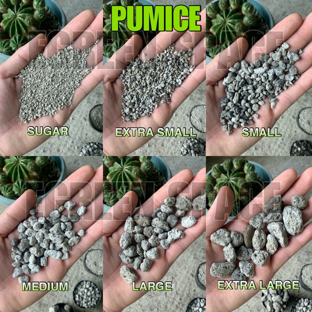 PUMICE STONES (1KILO) Fast Draining Medium Filtration Airholes | Shopee ...