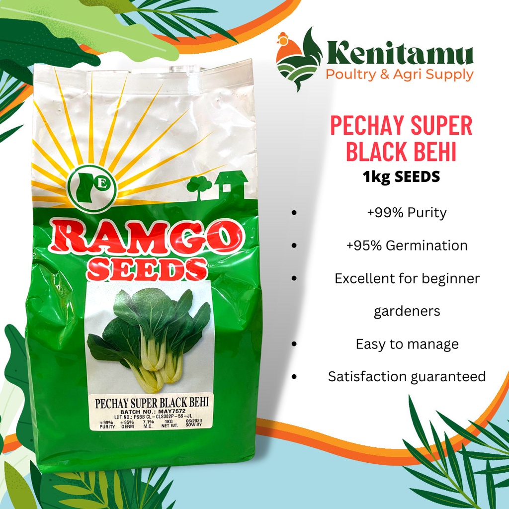 PECHAY SUPER BLACK BEHI KILO PACK, RAMGO SEEDS INTERNATIONAL | Shopee ...