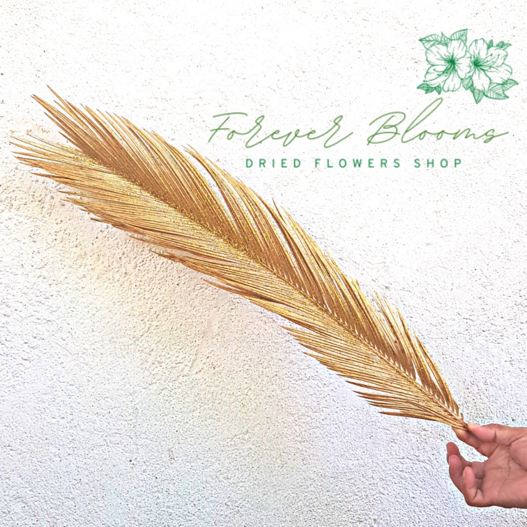 Palaspas Dried Oliva | Dried Cycas Palm Dried Flowers (sold per stem ...