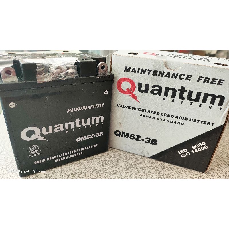 Quantum Maintenance Free mc battery | Shopee Philippines