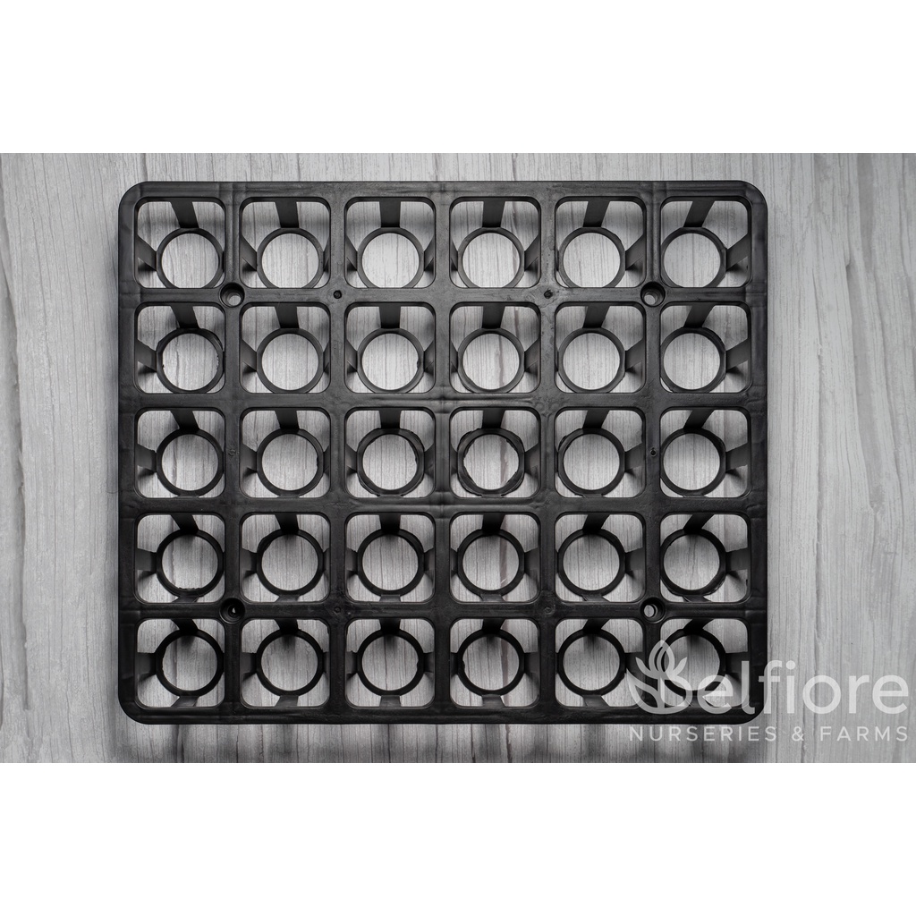 Plastic grid tray for 7cm square pots / Tita tray | Shopee Philippines