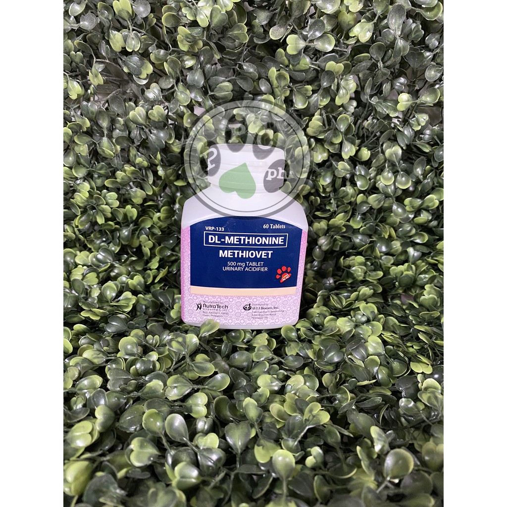 Methiovet Urinary Acidifier Supplement for Dogs 60 tabs | Shopee ...