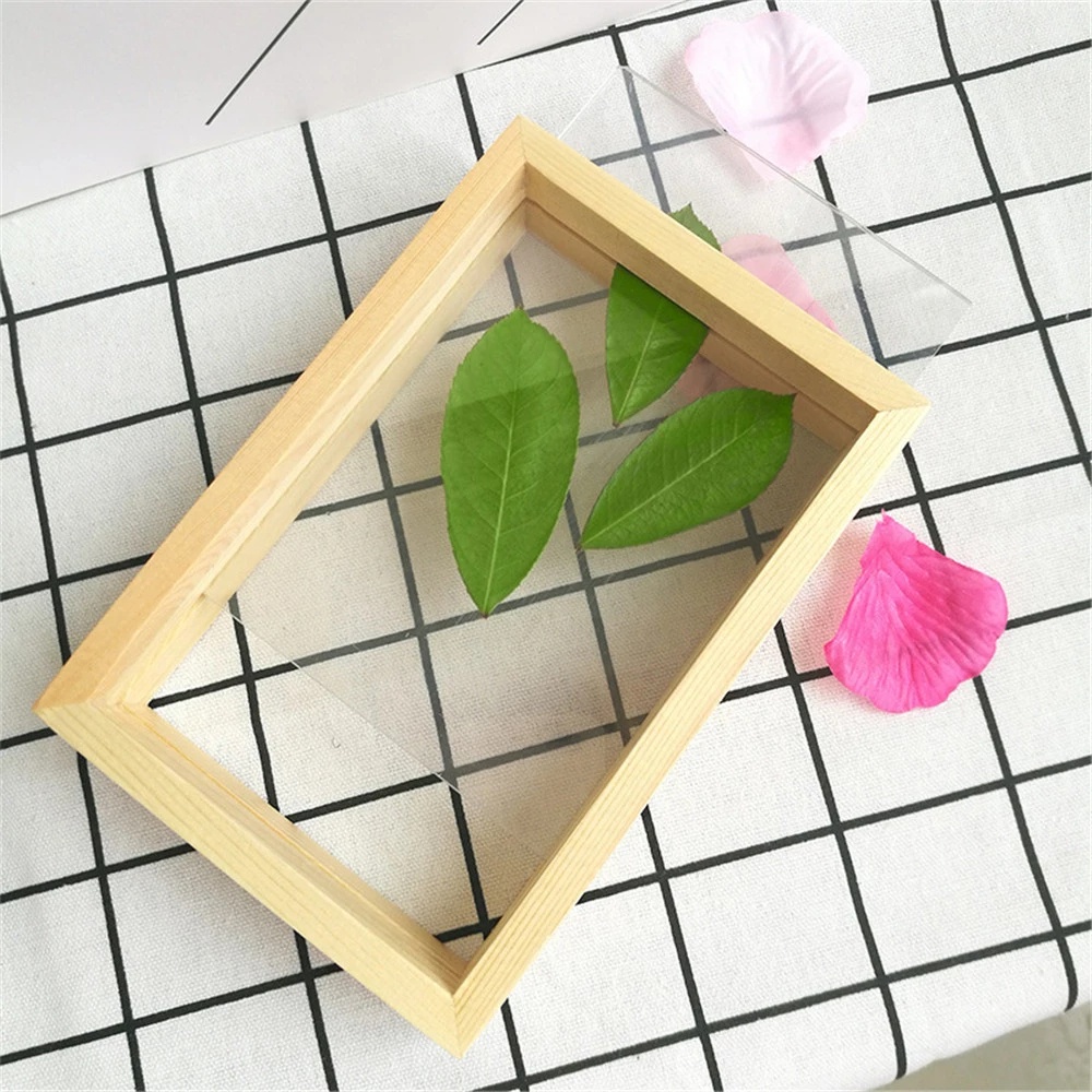 Wooden Plant Specimen Frame Photo Frame Mini Multifunctional Photo ...