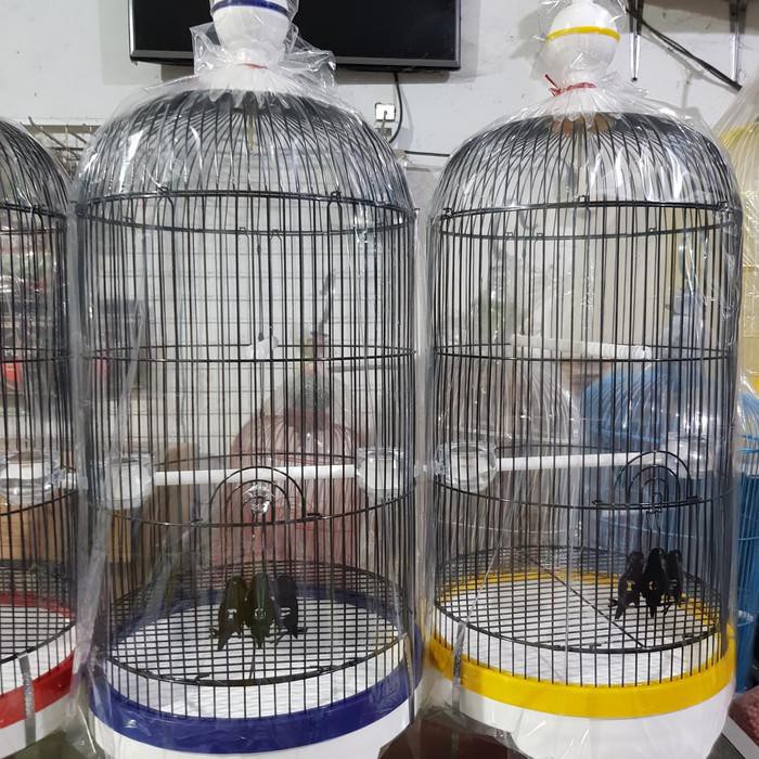 Lianp | Love Bird Cage Ebod Murmer (Grab / Gojek) | Shopee Philippines