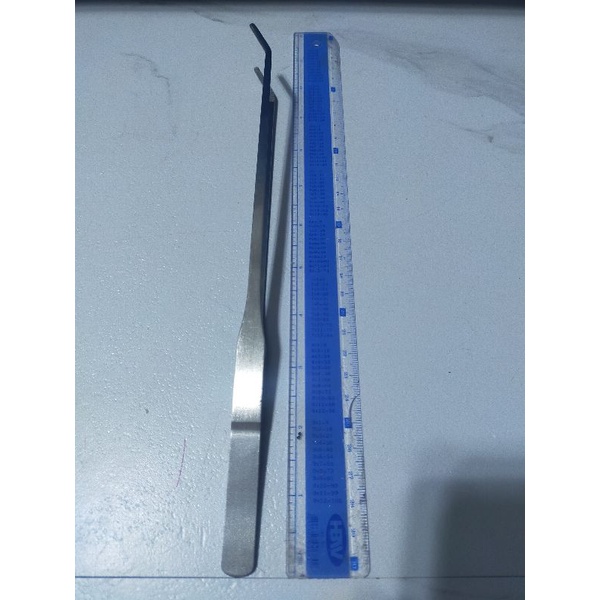 Tweezer Steel High-Precision (Small, Large) | Shopee Philippines