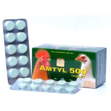 Amtyl 500 (per tablet) | Shopee Philippines