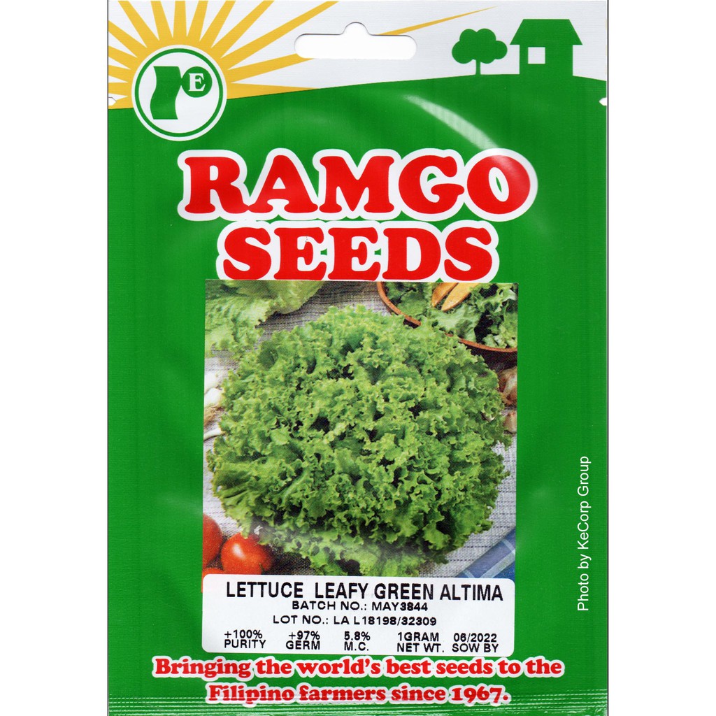 Ramgo & Yates Lettuce Seeds - Sold per Pack per Variety KECORP_S1 ...