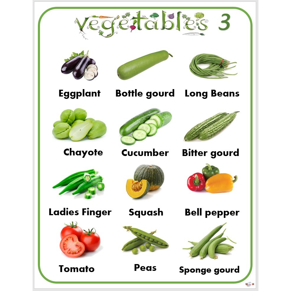 Laminated chart Vegetables-3 Educational Laminated charts for kids ...
