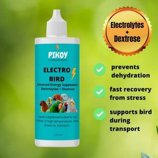 PIKOY by Munting Ibunan, Online Shop | Shopee Philippines