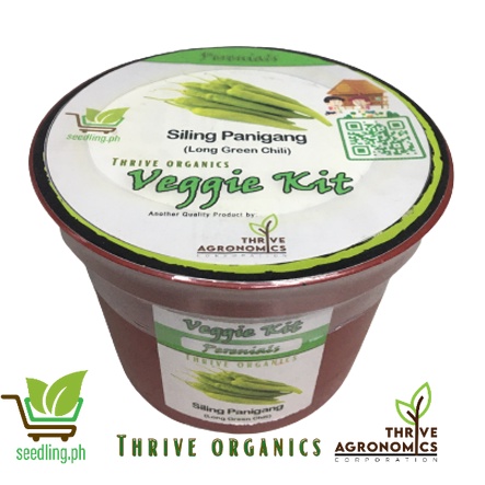 Sili Pansigang Chili Green Siling Haba Veggie Kit Grow Kit Seedling Kit ...