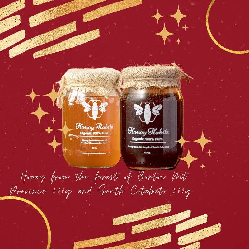 Honey from Bontoc Mt Province 500g and South Cotabato 500g | Shopee ...