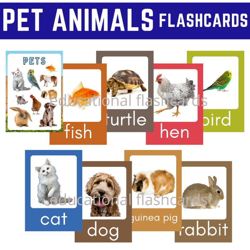 PET ANIMALS FLASHCARDS for kids, Laminated. Animals Charts are also ...