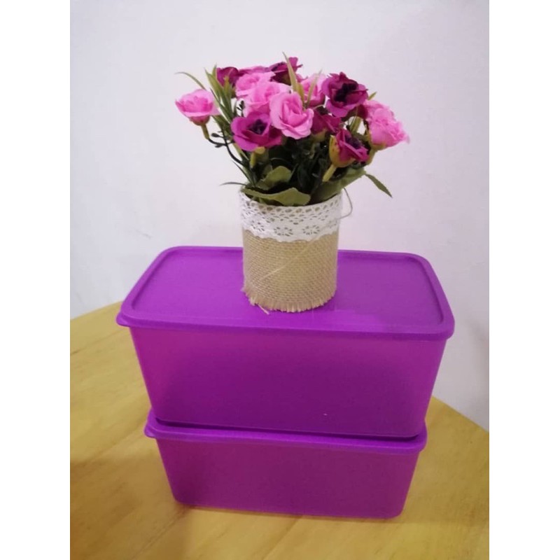 Tupperware Square Container (Big Box O' Freshness) / 1pcs | Shopee ...