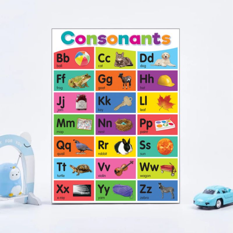 ﹉♨Educational Charts | A4 Size | Laminated Educational Wall Chart ...