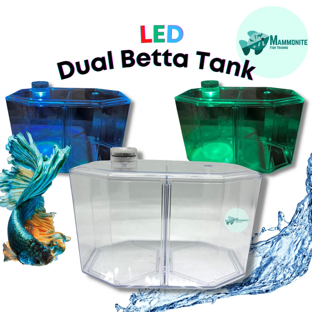 Aquarium Double Betta Fish Tank LED Dual BettaHex Clear | Shopee ...