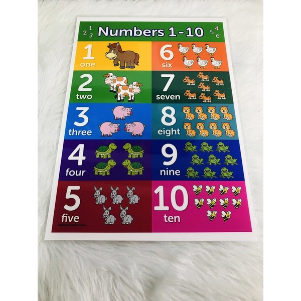 A4 Numbers Laminated Chart for Toddlers | Shopee Philippines