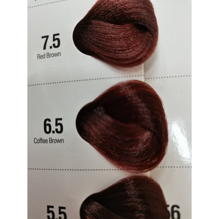 BREMOD HAIR COLOR 6.5 W/ OXIDIZER | Shopee Philippines