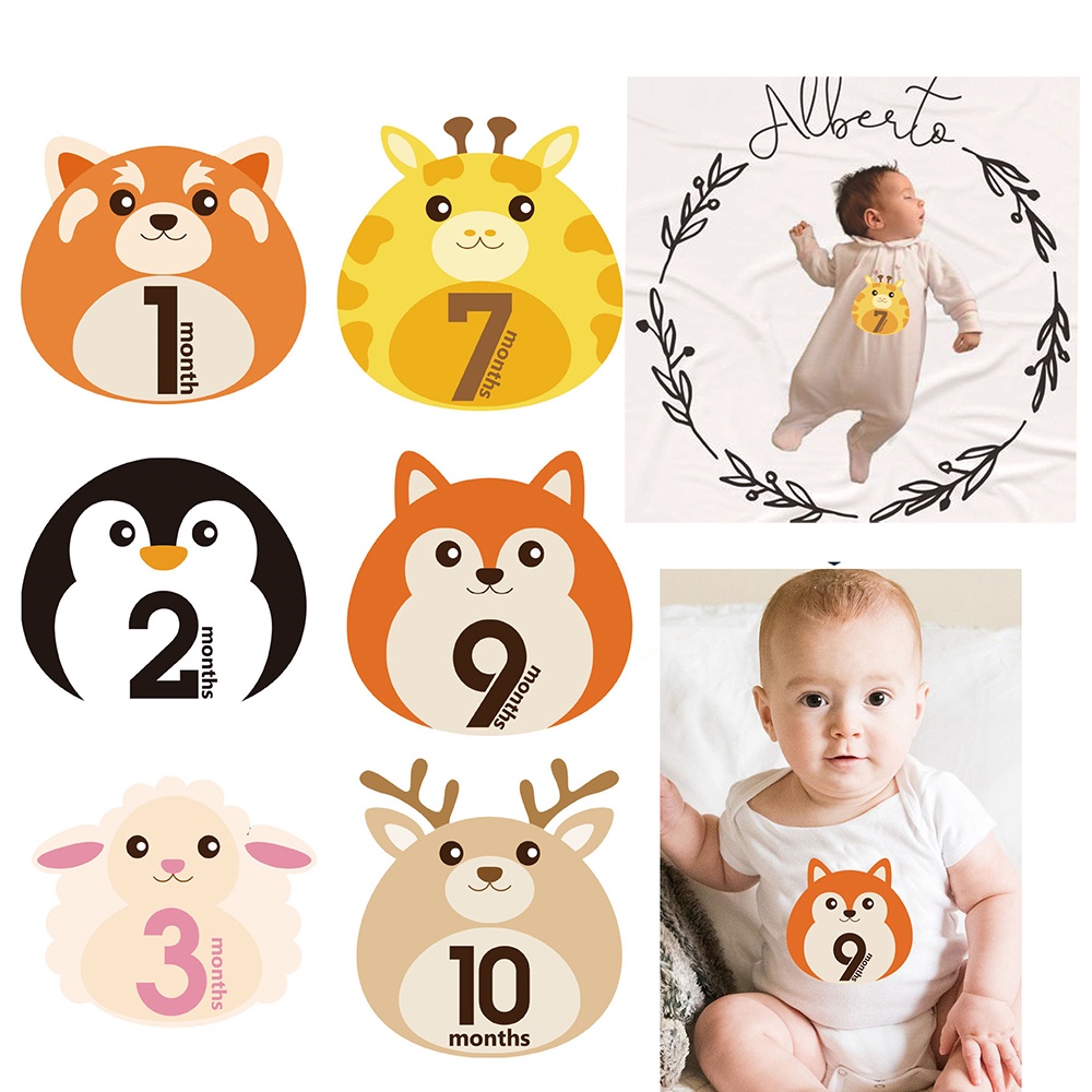 12 Pcs Month Sticker Baby Photography Milestone Memorial Monthly ...