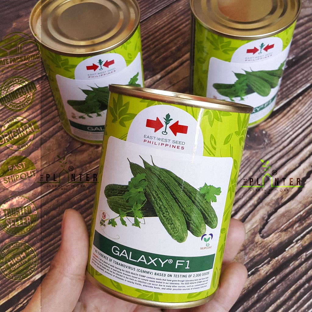 GALAXY F1 , GALAXY MAX F1 500 seeds (100g) & (50g) w/ nutrishield ...