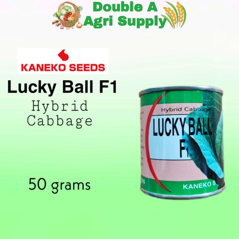 Lucky Ball Hybrid Cabbage (Repolyo) - Kaneko Seeds | Shopee Philippines