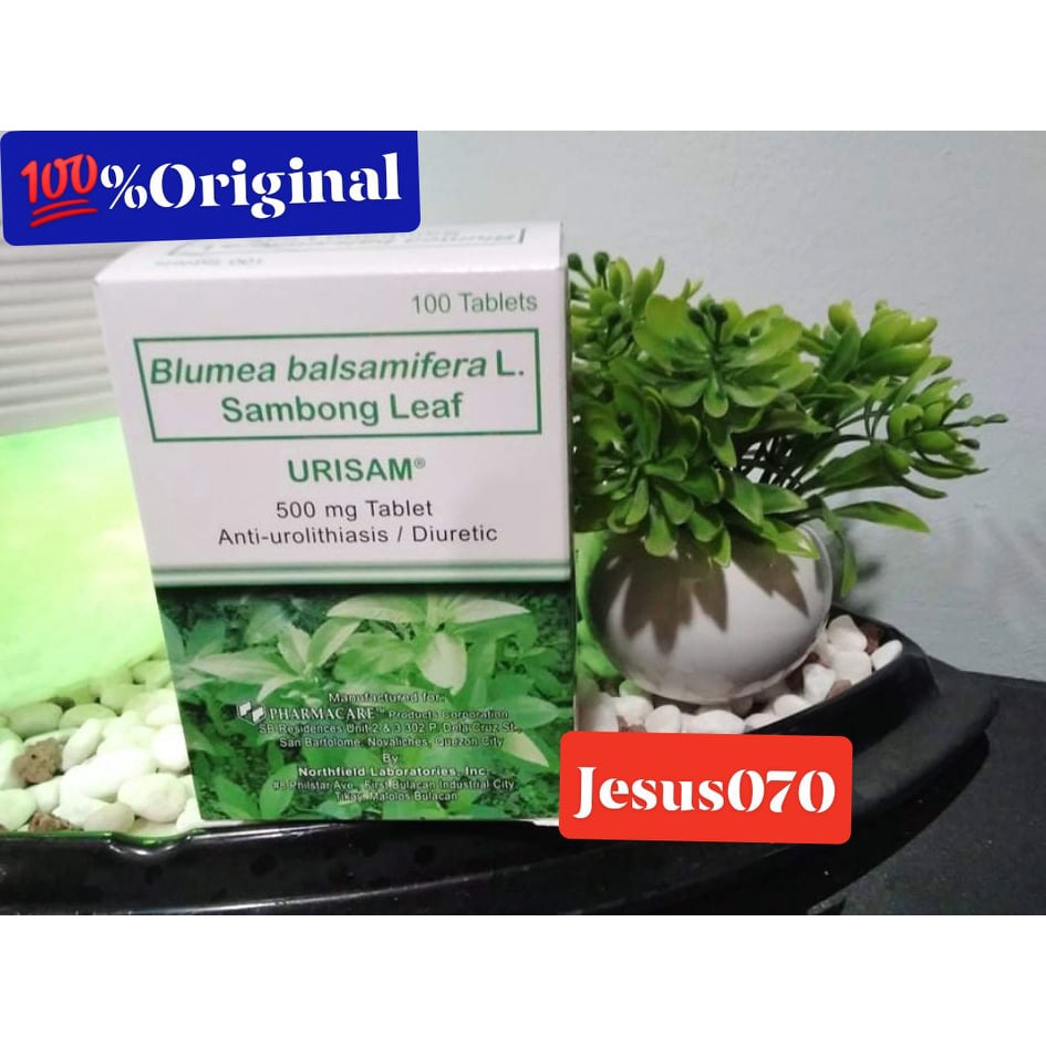URISAM - Sambong Leaf 500mg - urinary tract or kidney stones - FDA HMR ...