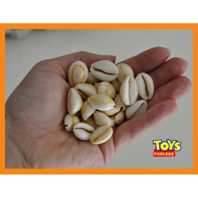 20pcs. Sea Shells Cowry/ Sigay - Sensory Montessori Plays & Crafts ...