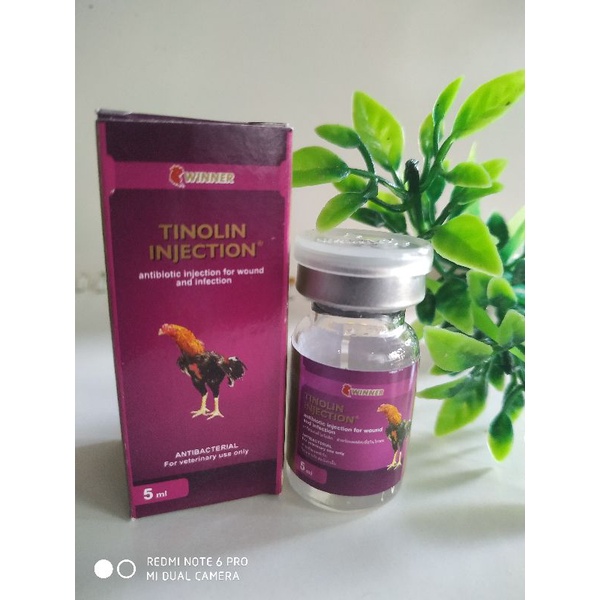 Tinolin injection injection 5ml-winner medion | Shopee Philippines