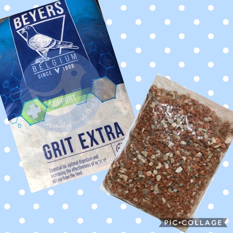 Beyers 1 Kilo Grit Extra Redstone with Anise Seed Grits Belgium for ...