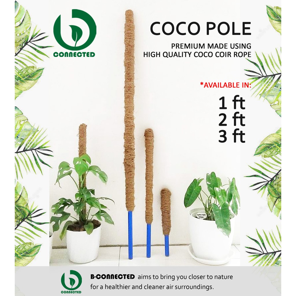 COCO POLE PLANT SUPPORT - High Quality Coco Rope - GARDEN NEEDS BY ...