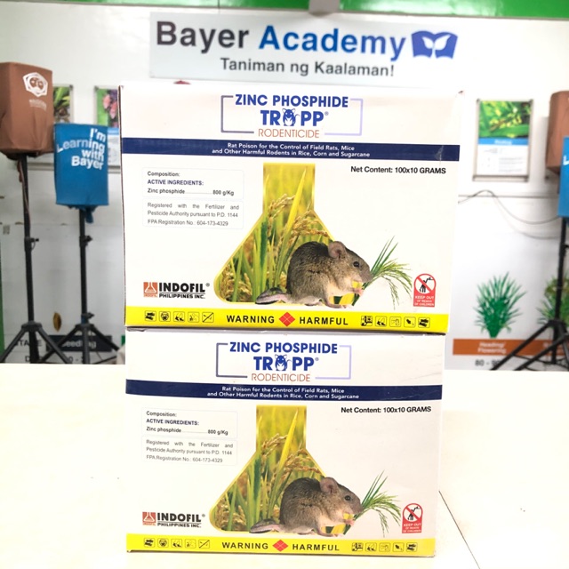 100pcs. INDOFIL TRAPP ZINC PHOSPHIDE RODENTICIDE RAT POISON (SOLD per ...