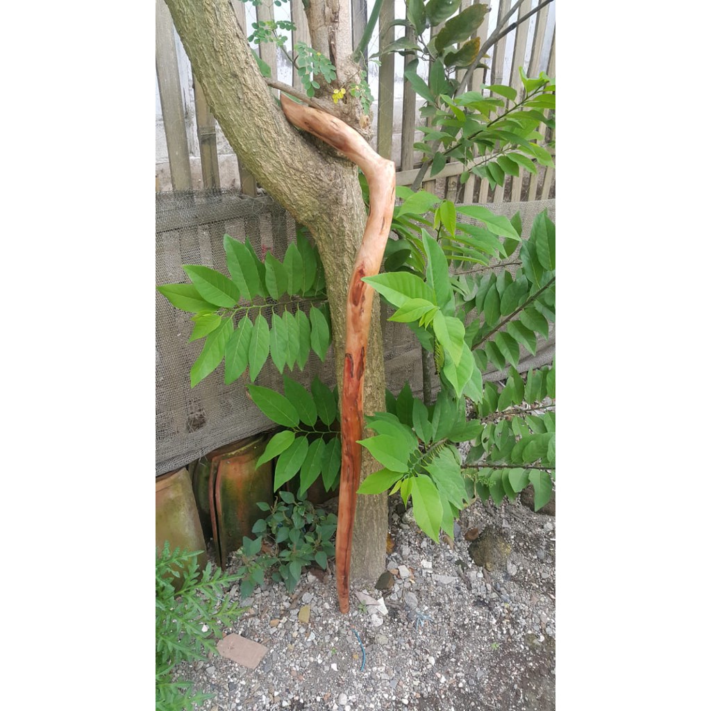 Original Setigi Setigi Wood Walking Stick Carved / Wood Walking Stick ...